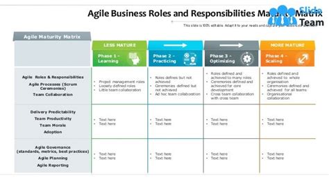 Agile Maturity Matrix