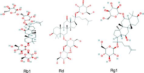 Frontiers Panax Ginseng C A Mey As Medicine The Potential Use Of Panax Ginseng C A Mey As A