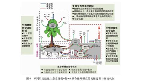 Lysicosm 碳氮水耦合循环过程监测报价价格性能参数图 中国澳作生物器材网