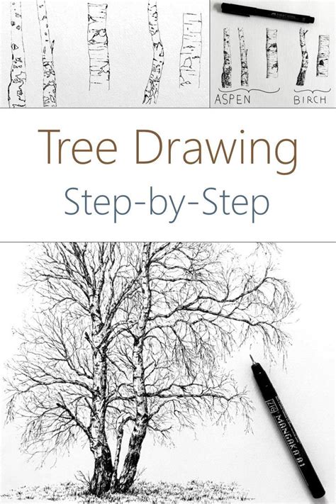 How To Draw Realistic Trees With Pen Ink Artofit