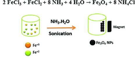 Scheme 1 Schematic Representation Of Fe 3 O 4 Nanoparticles