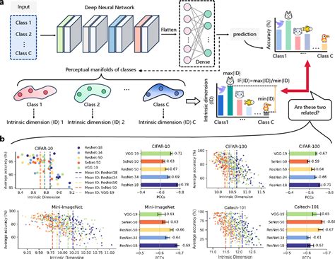Figure 1 From Unveiling And Mitigating Generalized Biases Of Dnns Through The Intrinsic
