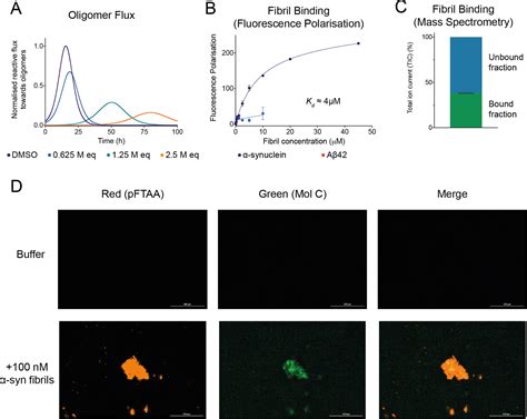Structure Based Discovery Of Small Molecule Inhibitors Of The Autocatalytic Proliferation Of α