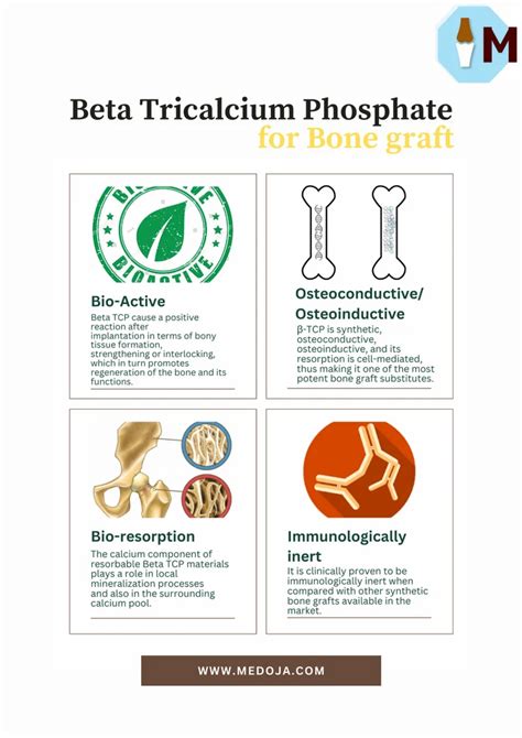 Powder Bone Graft Beta Tcp For Dental Research At ₹ 1800unit In