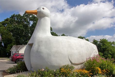 An Ode To What They Call Duck Architecture