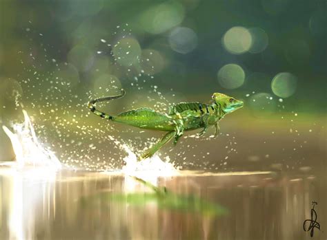 Green Basilisk Running On Water