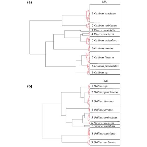 Species Delimitation Based On Sequence Variation Was Determined Using