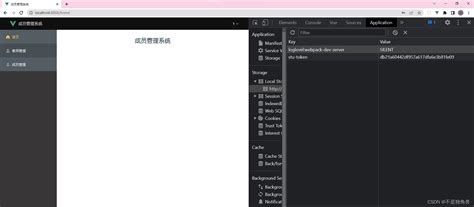 Vue项目 成员管理系统 Vuex状态管理10 Csdn博客