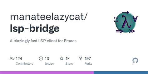 Issues Manateelazycat Lsp Bridge GitHub