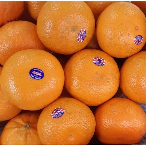 Jual Jeruk Ponkam 1 Kg Shopee Indonesia