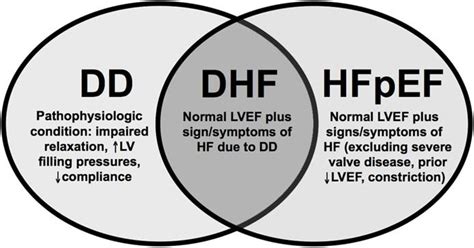 What Is Grade 1 Lv Diastolic Dysfunction Ermes