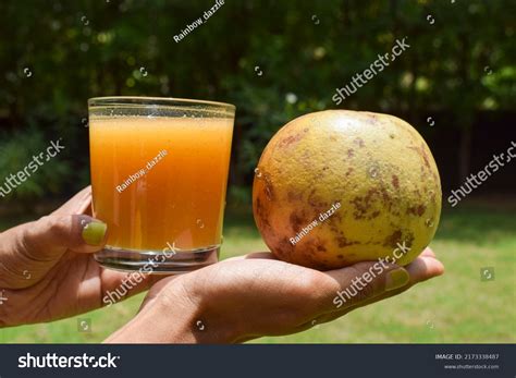 Nepal Fruit Stock Photos Images Photography Shutterstock