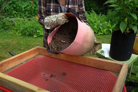 Reusing Potting Soil From Last Year Geeky Greenhouse