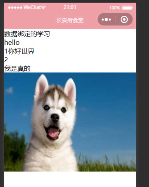 Uniapp从入门到精通（全网保姆式教程）~ 别再说你不会开发小程序了uniapp开发小程序 Csdn博客