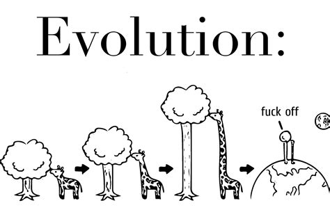 Evolution