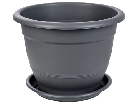 Planter Lidl Northern Ireland Specials Archive