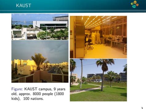 Application Of Parallel Hierarchical Matrices In Spatial Statistics And Parameter Identification