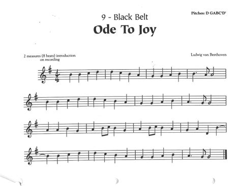 Recorder Karate Oyama Traditional School