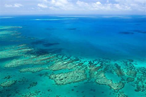 32 Curiosidades La Gran Barrera De Coral Datos De Interes