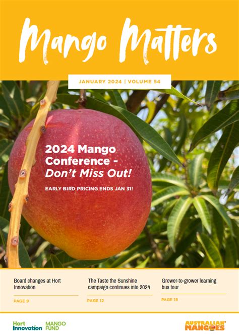 mango net top sellers