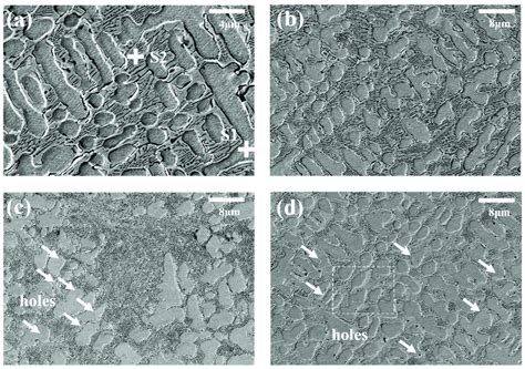 Sem Microstructure Of The Coatings A Stellite F B Stellite F 1