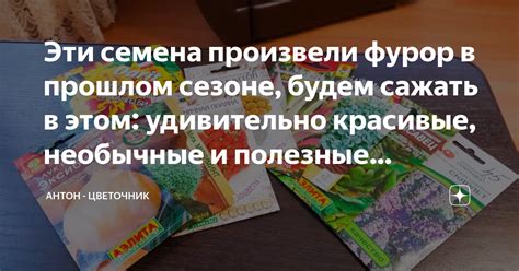 Эти семена произвели фурор в прошлом сезоне будем сажать в этом