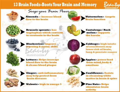 Supplements Enhance Your Memory And Brain Health Tech Inshorts