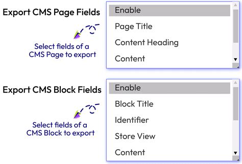 magento 2 import export cms extension