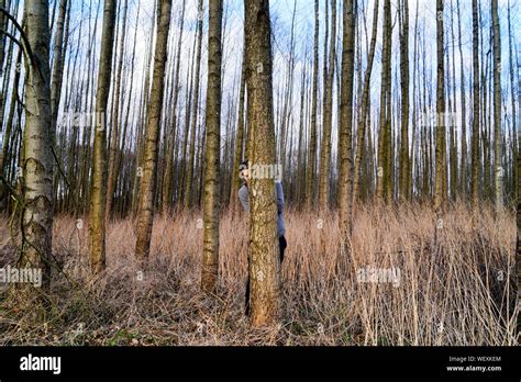 Man Hiding In Tree Hi Res Stock Photography And Images Alamy