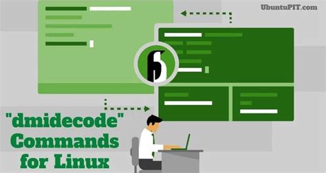 50 Comandos Dmidecode Simples Y útiles Para Linux