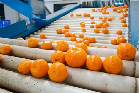 Citrus Industry Chains PEER Chain