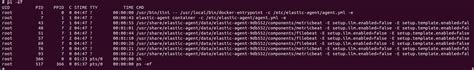 How To Configure Other Beats Through Elastic Agent Standalone In