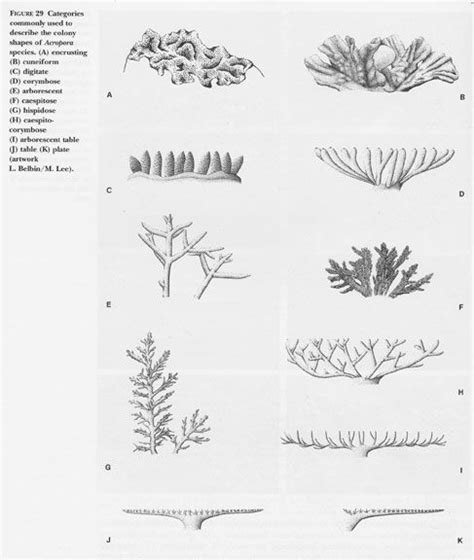 Defining Parametric Design And Architecture Best Credit Card