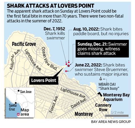 She Knew Sharks — And Their Risks Now The Official Search For Beloved