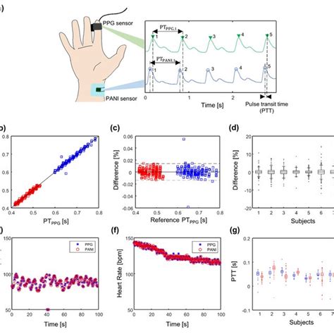 Pulse Wave Monitoring Process And System Design Of Wearable PANI Download Scientific Diagram