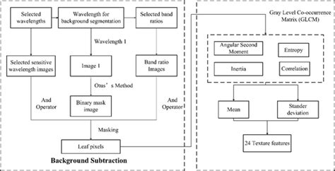flowchart of feature extraction download scientific diagram