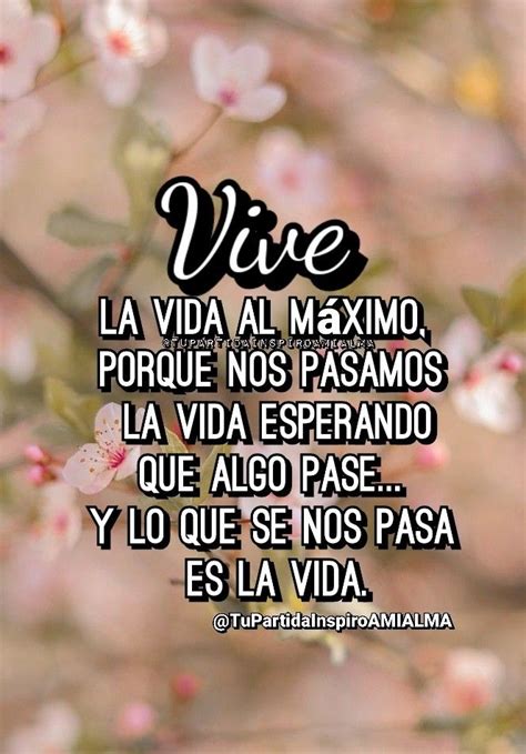 Vive La Vida Al Máximo