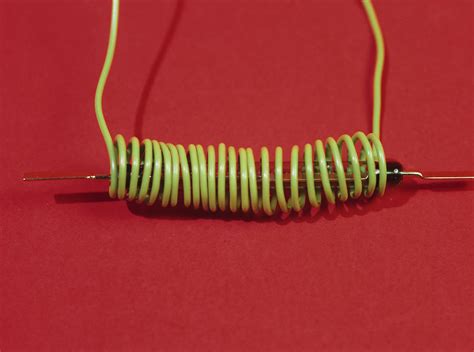 Reed Switch Photograph By Andrew Lambert Photography Pixels
