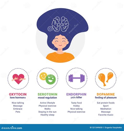 Serotonin And Dopamine Pathway Vector Illustration 233566984