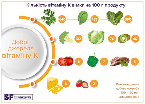 Витамин К - где больше всего содержится и какая его роль | РБК Украина