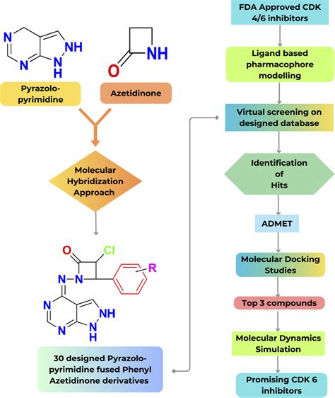 Schematic Representation Of The Present Workflow Download Scientific Diagram