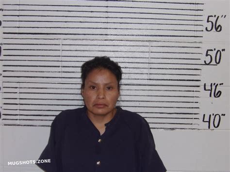 Apachito Rebecca 10262023 Socorro County Mugshots Zone