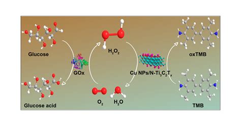 Copper Nanoparticle N Doped Ti3c2tx Mxene Hybrids With Enhanced Peroxidase Like Activity For