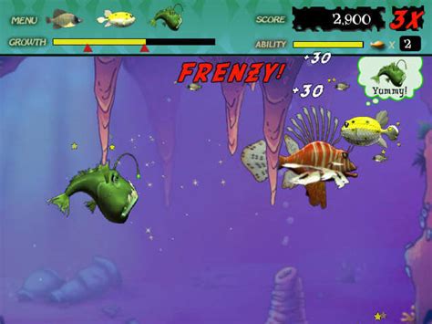 Download Feeding Frenzy My Abandonware Download Feeding Frenzy My Abandonware