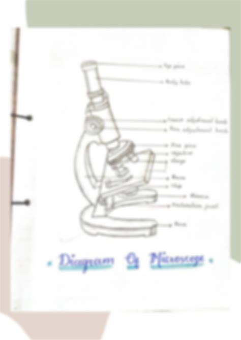 Solution A Compound Microscope Bio Pract Class 9 Theory Studypool