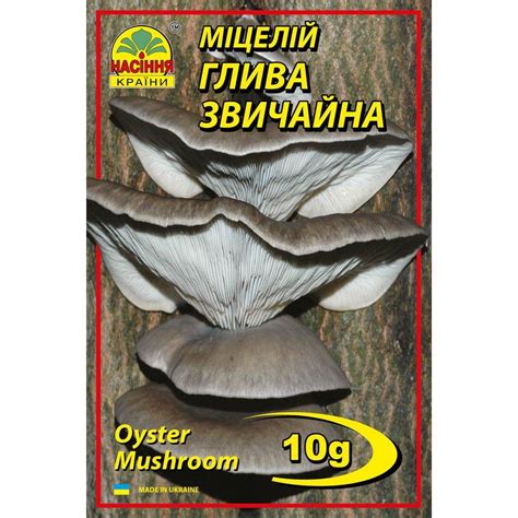 Мицелий грибов Вешенка обыкновенная 10 г (Насіння країни) – фото ...