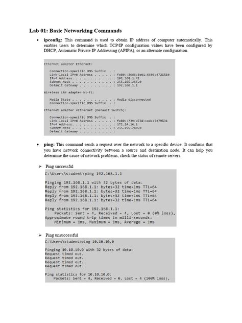 Lab 01: Basic Networking Commands: Ipconfig | Download Free PDF | Internet Protocols | Routing