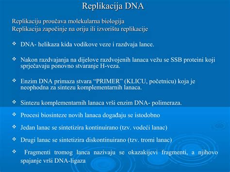 Replikacija Dna Ppt