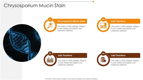 chrysosporium mucin stain in ppt powerpoint presentation slide templates cpp ppt powerpoint