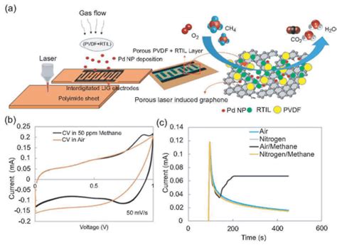 Laser Induced Graphene Sensors